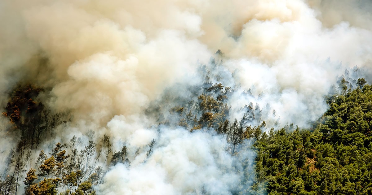 8 Ways To Protect You And Your Family From Wildfire Smok