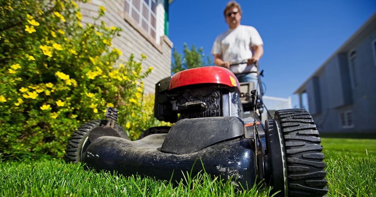 8 Backyard Cleaning Tips To Keep Your Lawn Looking Spectacular